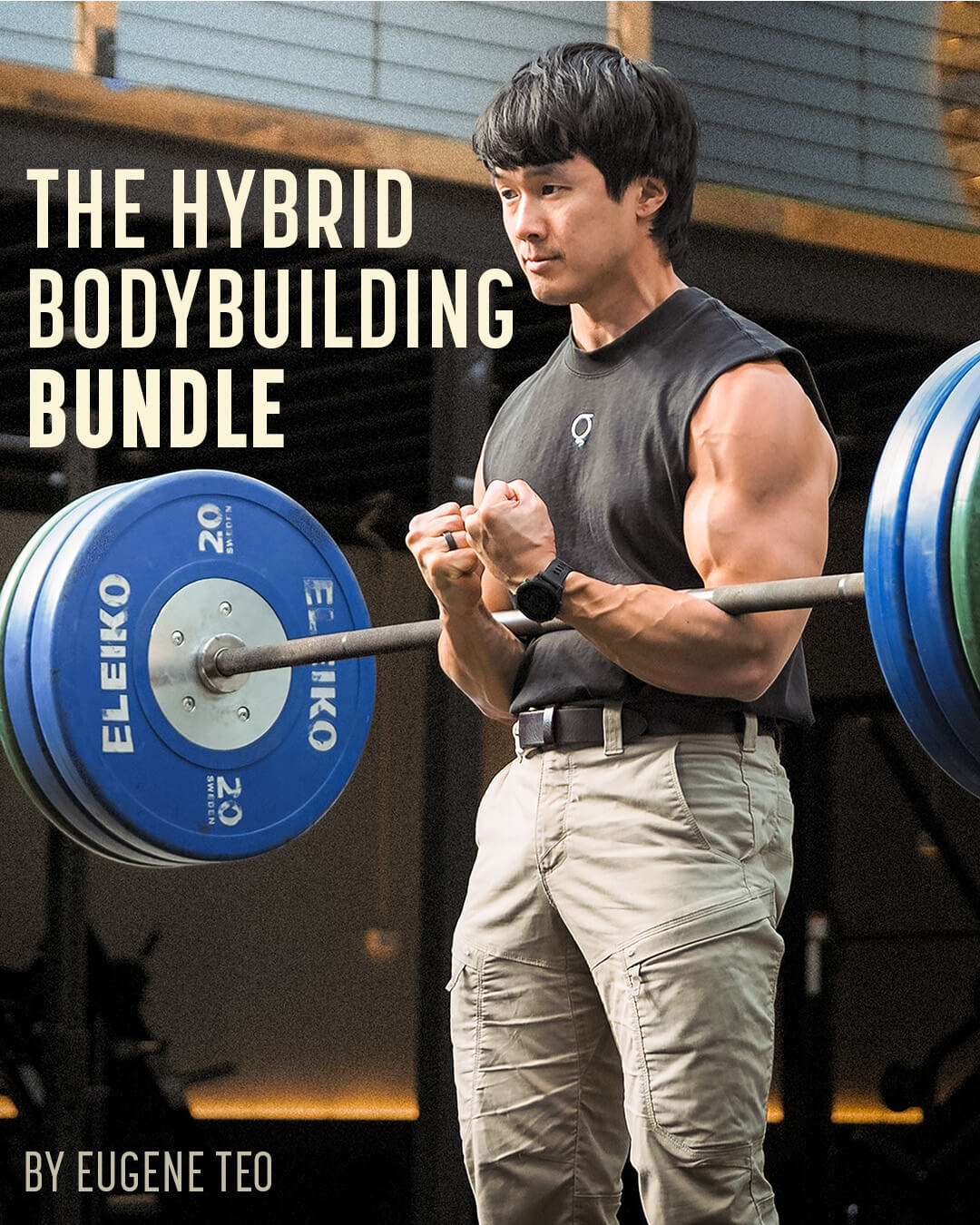 Eugene Teo Hybrid Bodybuilding Programs | Ganbaru Method